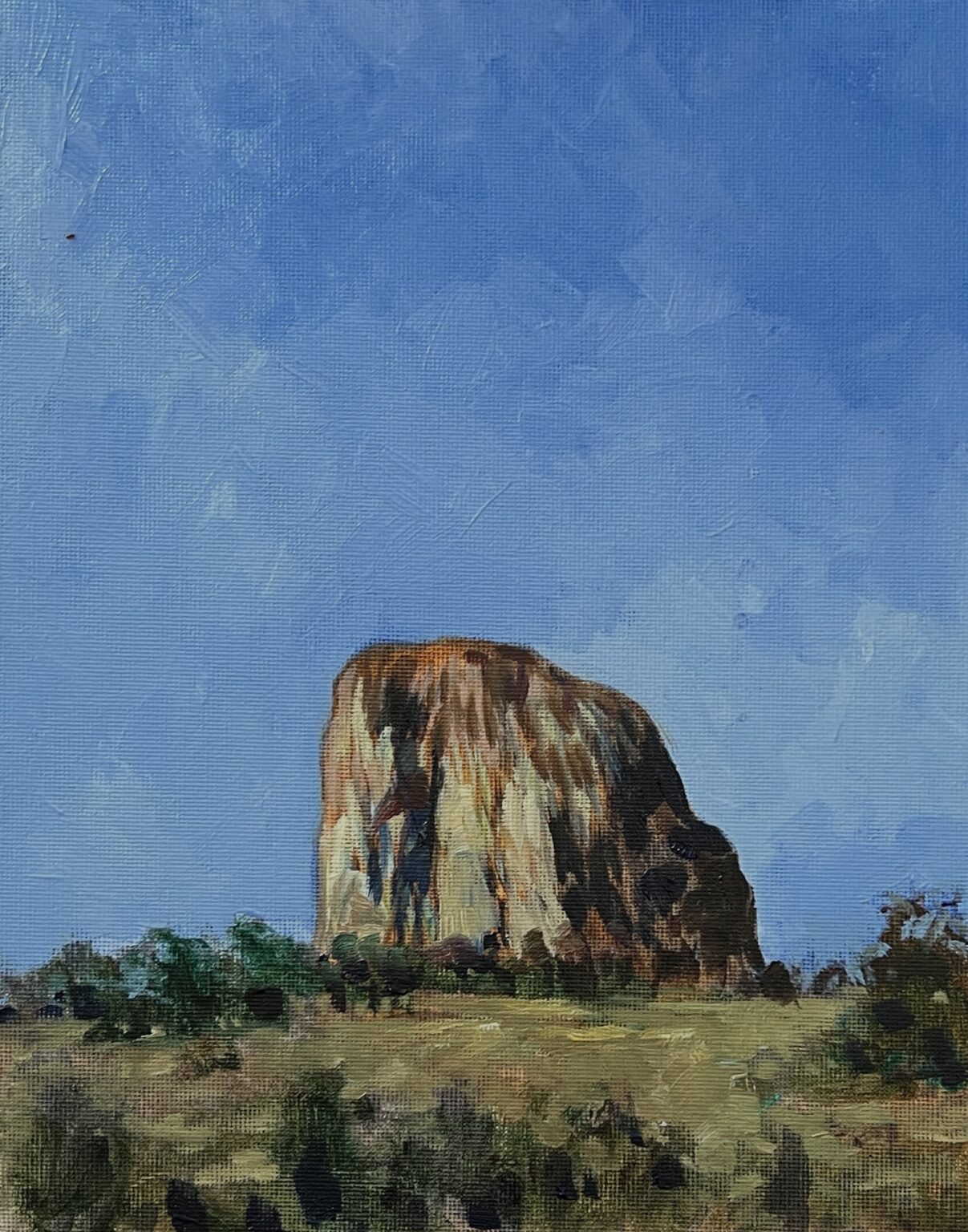 Oil Paintings | Eleanor Blair