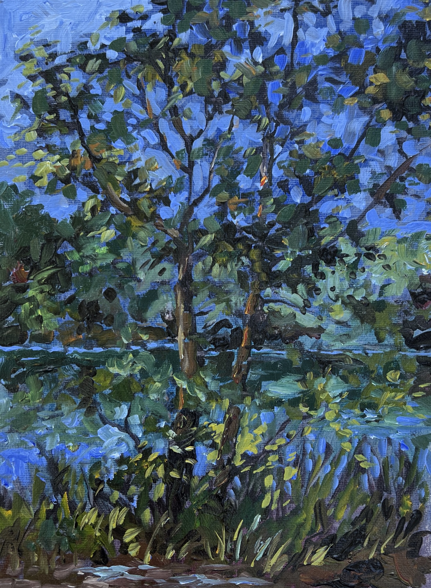 Landscapes | Eleanor Blair